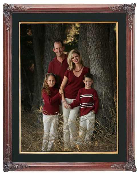 Levin Picture Frames - 950C BRANDY/BLACK VELVET LINER CALL FOR AVAILABILITY